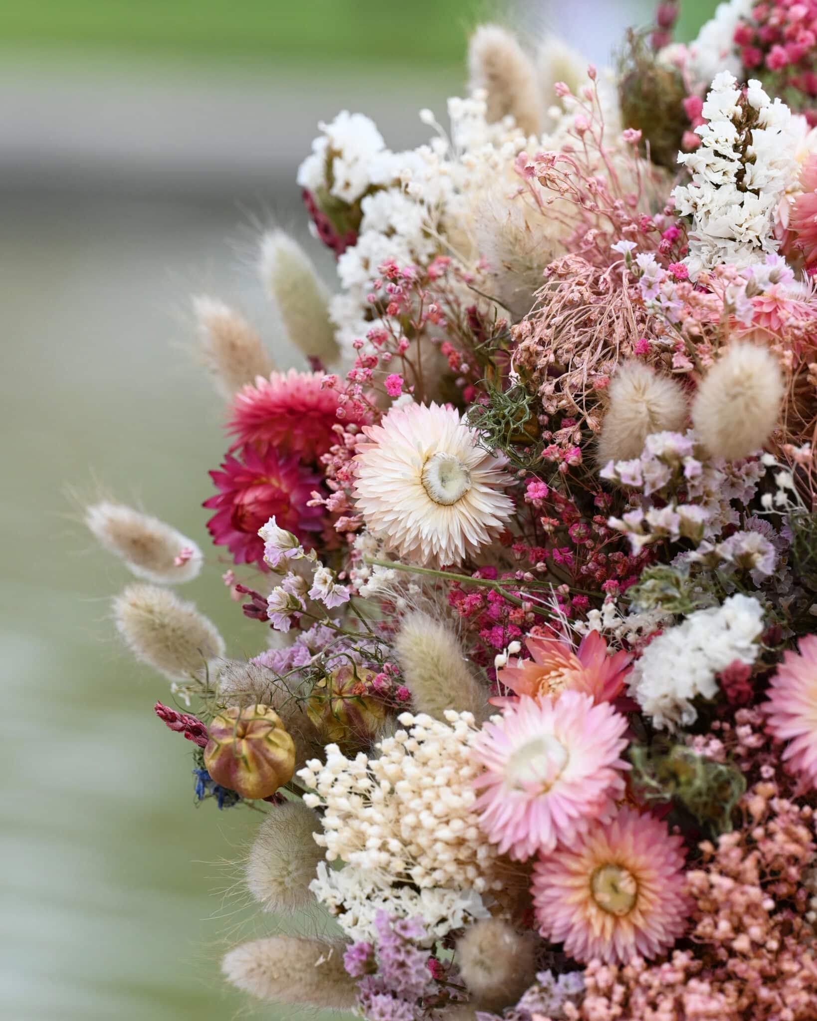 Les plus belles fleurs séchées de France